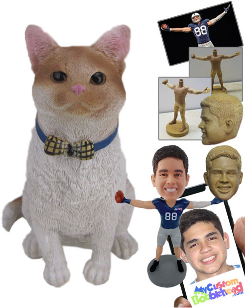 Custom Bobblehead Sitting Cat Pet, Cat Custom Bobblehead, Pet Cat ...