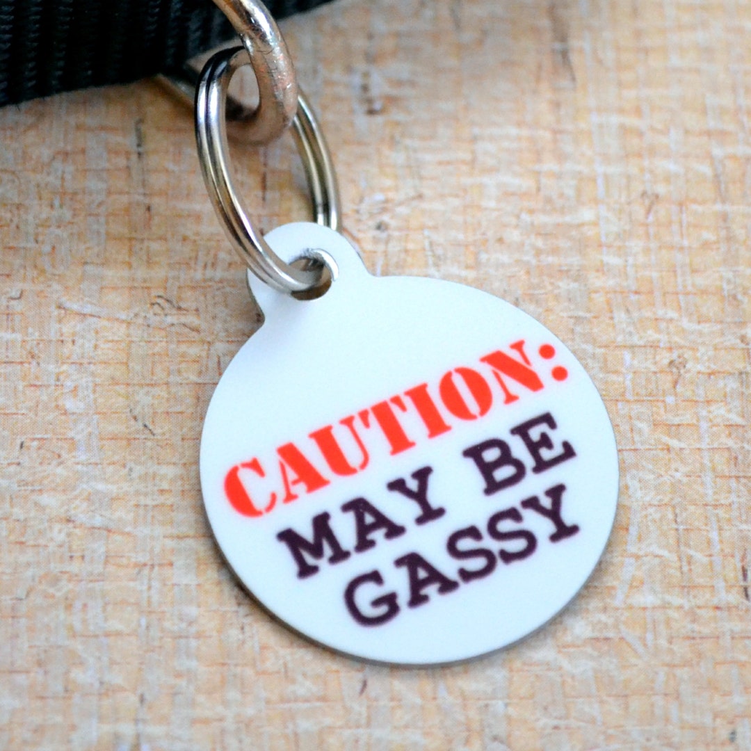 Caution: May Be Gassy Pet ID Tag Key Chain, Dog Tag, Leash Tag, Pet ...