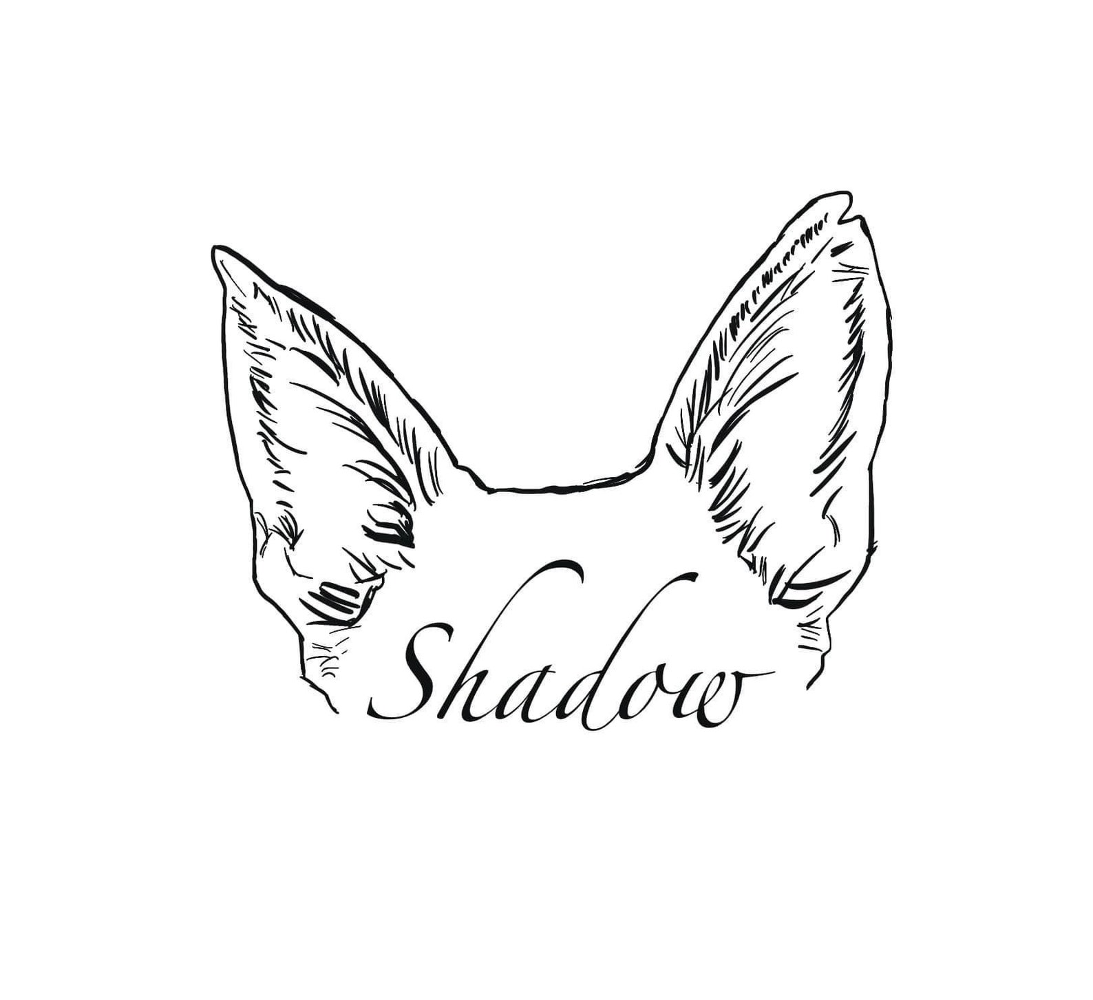 Custom Pet Ear Outline Drawing - Etsy