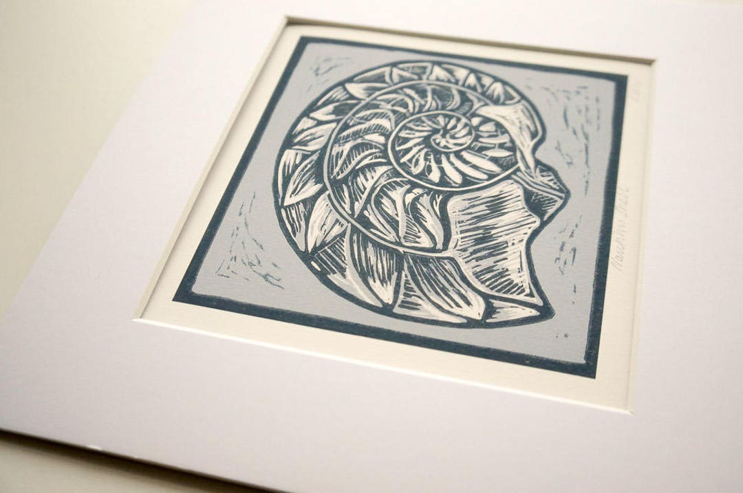 Nautilus Shell Print Ready to Frame - Etsy