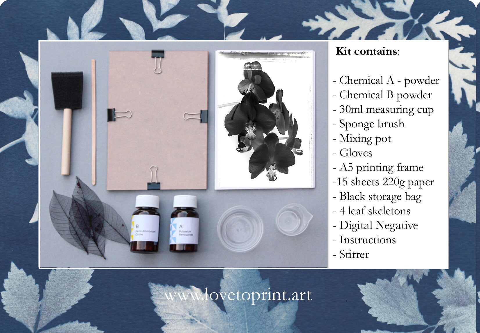 Cyanotype Kit Make Your Own Blueprints at Home - Etsy UK