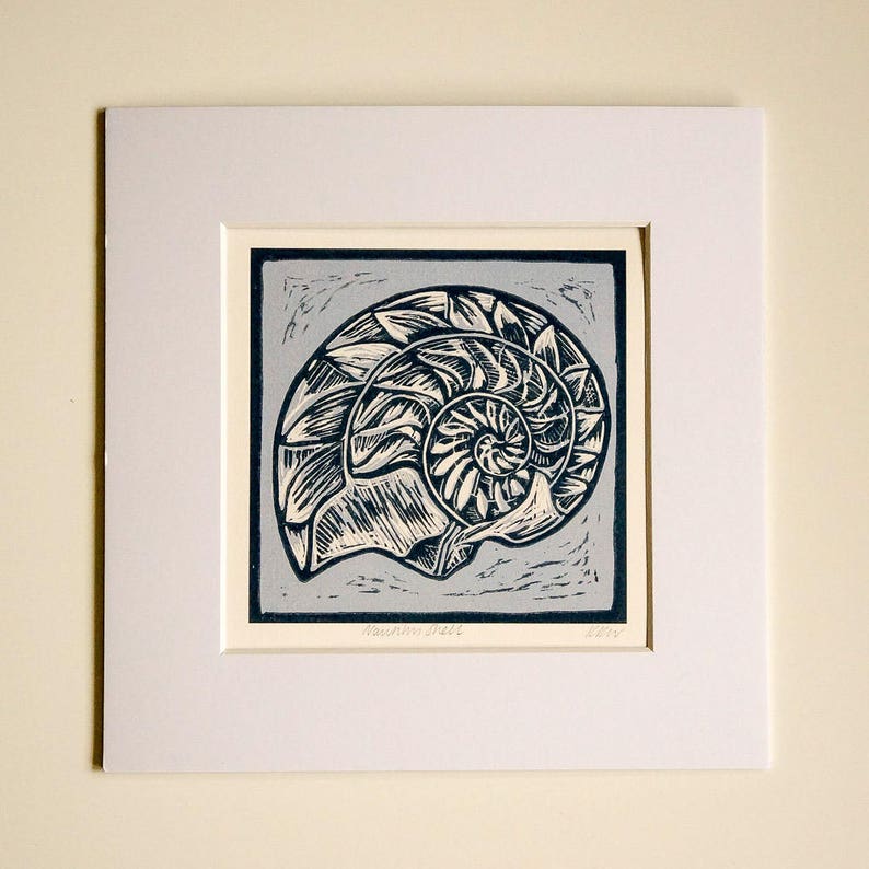 Nautilus Shell Print Ready to Frame - Etsy