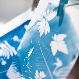 Cyanotype kit Cyanotype chemicals cyanotype refill kit | Etsy