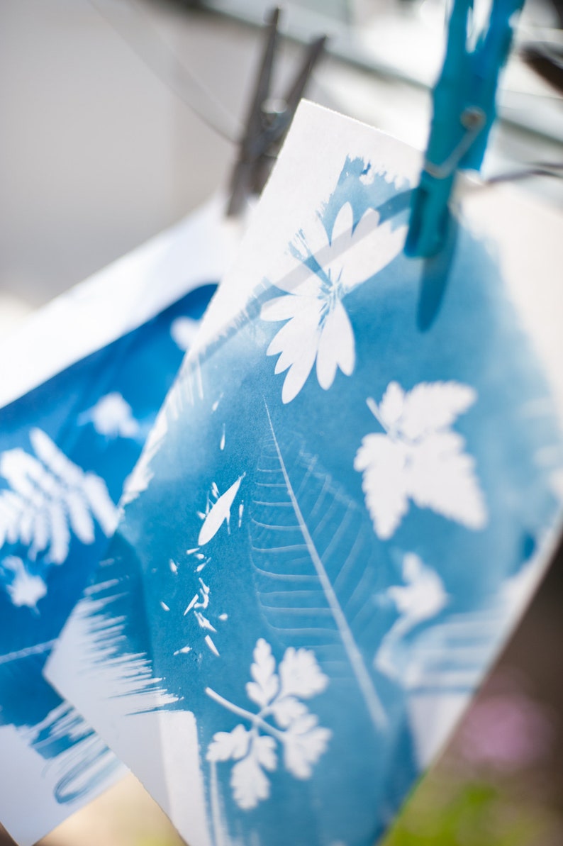 Cyanotype Kit Cyanotype Chemicals Cyanotype Refill Kit - Etsy UK