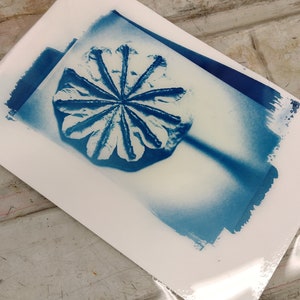 Cyanotype Kit | Make Your Own Blueprints at Home - Etsy UK