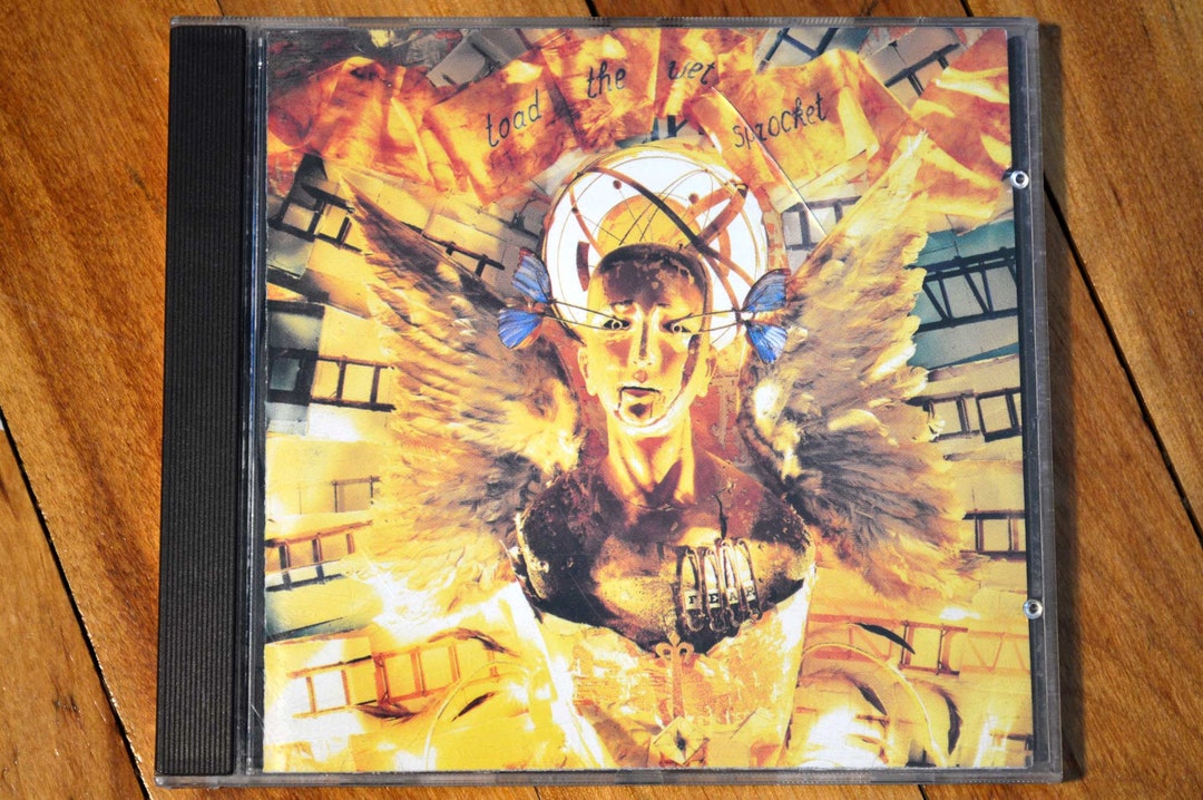Toad the Wet Sprocket - Fear - Compact Disc - 1991 - Etsy