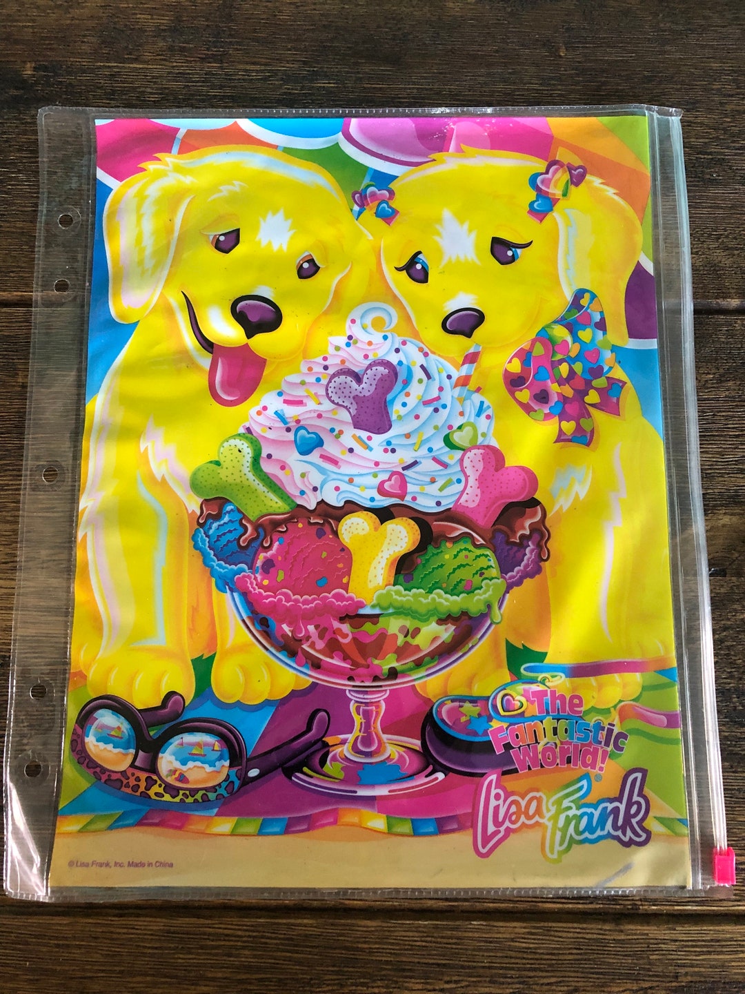 Vintage 90’s Lisa Frank Casey & Camus Sticker Book 3 Ring Zipper Case ...