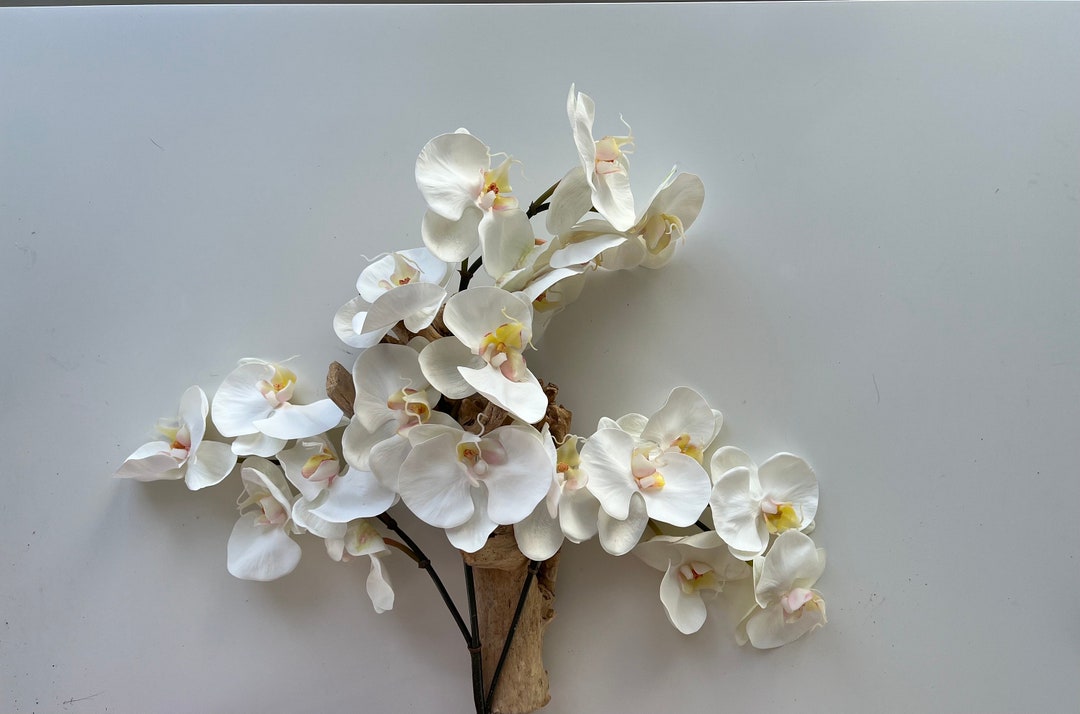Real Touch Orchids, Orchids on Driftwood, Orchid Wall Decour, Orchid ...