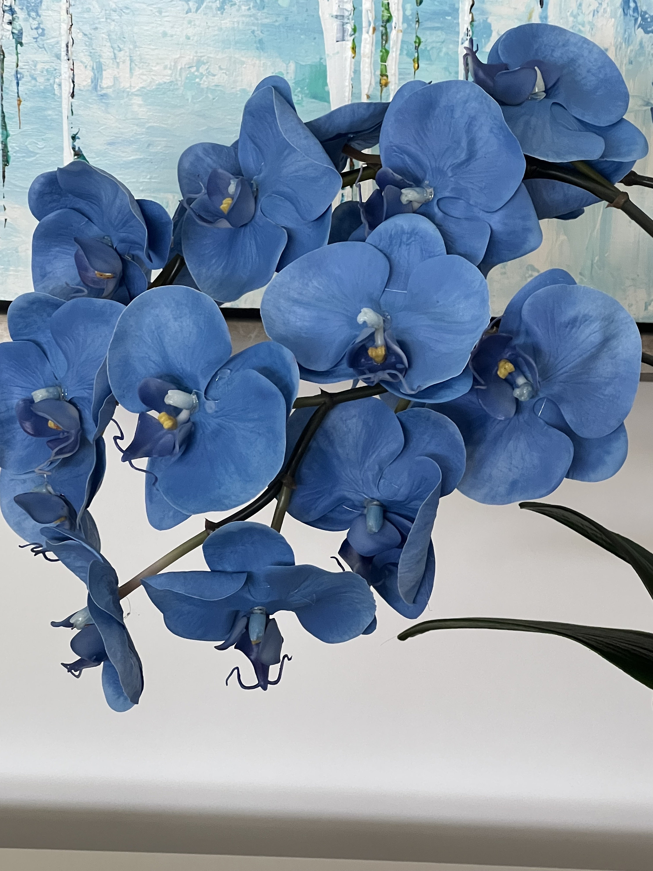 Blue Orchids, Real Touch Orchids, Orchid Arrangement, Floral ...