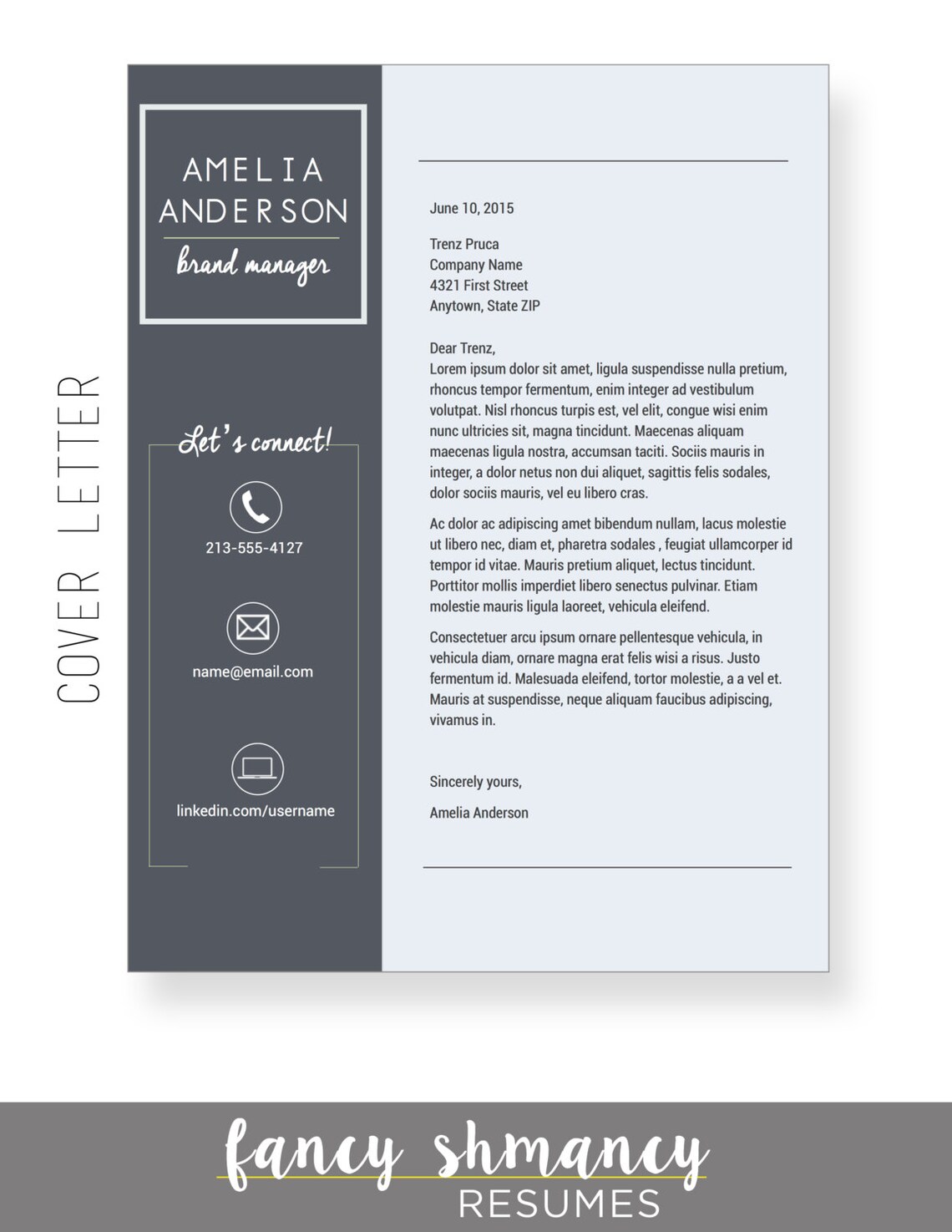 Resume Template the audrey Modern Resume Design Instant MS Word ...