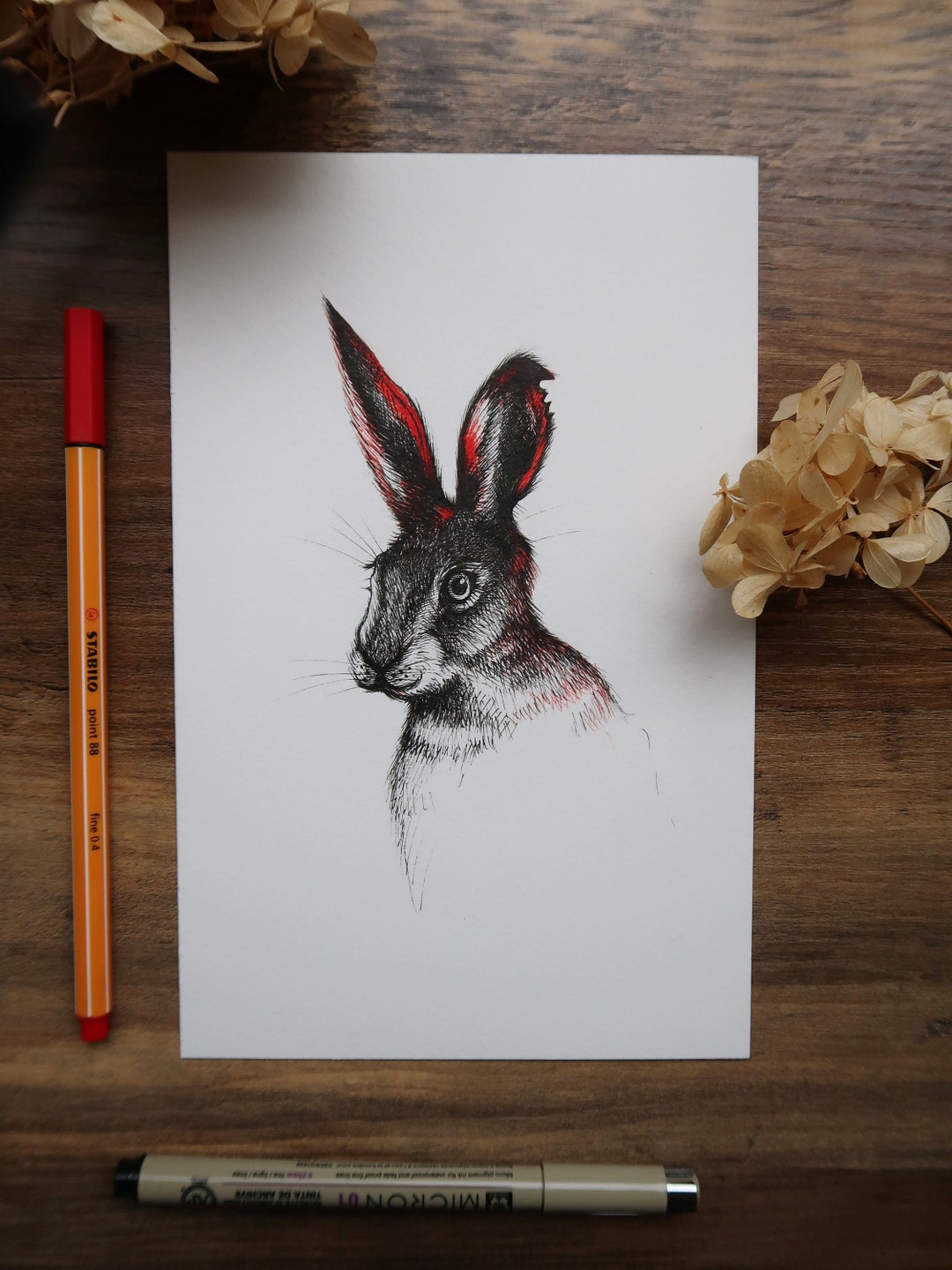 Black and Red Rabbit Pen and Ink Fine Art Print - Etsy