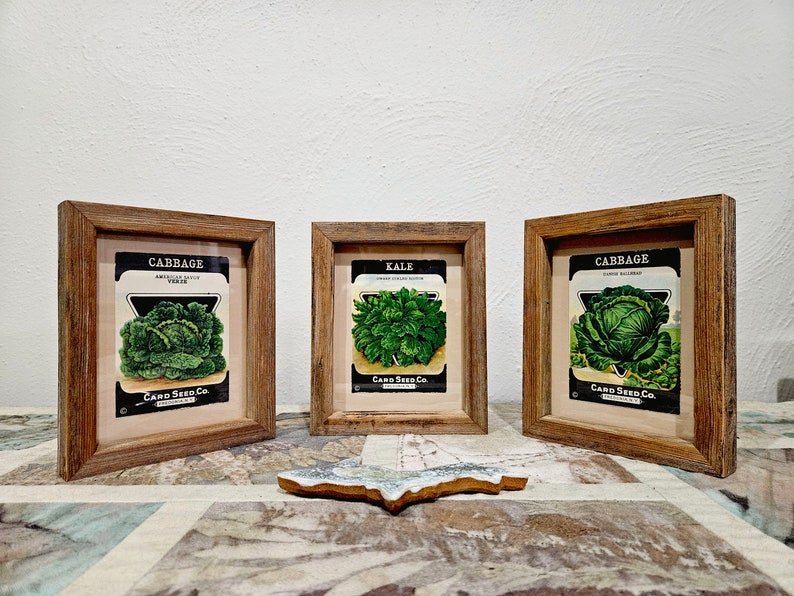 Rustic Kitchen Decor - Framed Vintage Seed Packets - Fruit and ...