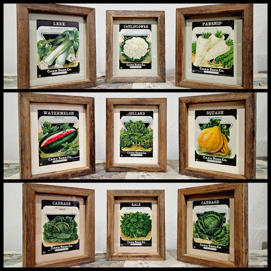 Rustic Kitchen Decor - Framed Vintage Seed Packets - Fruit and ...