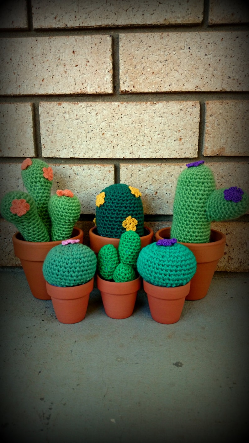 5 Small and Large Crochet Cacti Patterns PLUS Flower Pattern - Etsy