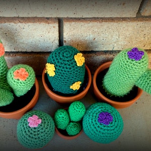 5 Small and Large Crochet Cacti Patterns PLUS Flower Pattern - Etsy