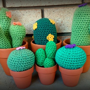5 Small and Large Crochet Cacti Patterns PLUS Flower Pattern - Etsy
