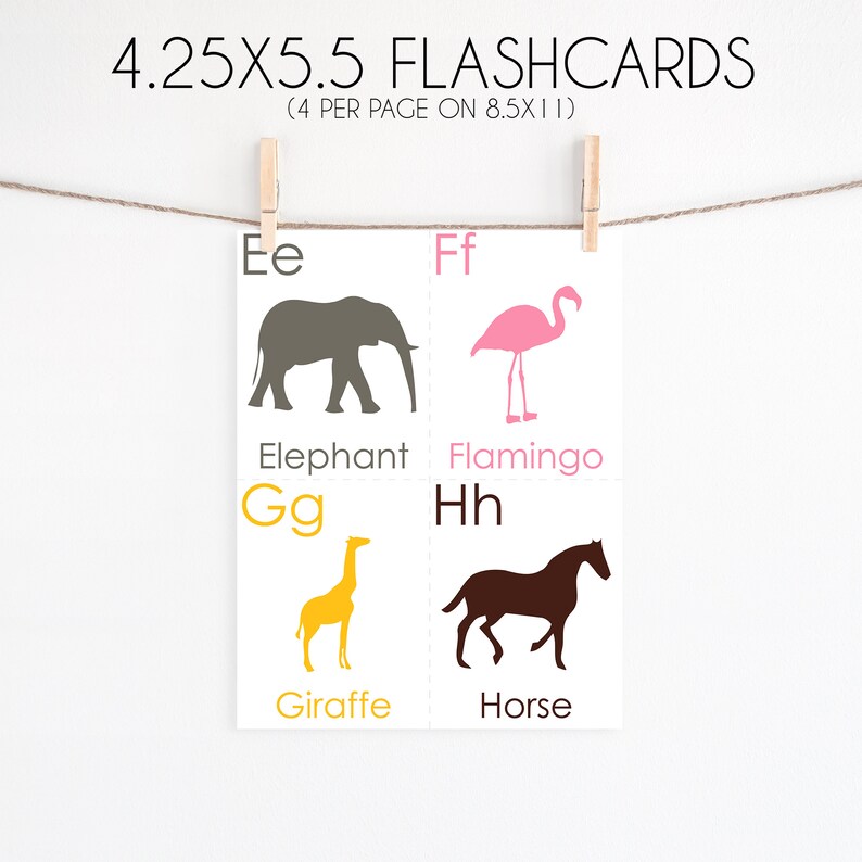 Animals, Reptiles + Sea Creatures Alphabet Flashcards, 5x7, 4.25x5.5 ...