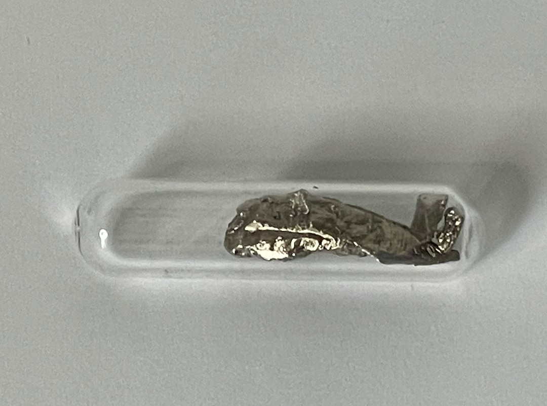 Strontium Metal Dendritic Crystals 1 Gram 99.99% Clean in Argon in a ...