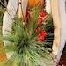 Cardinal Lantern Arrangement, Red Cardinal Centerpiece, Rustic Cardinal ...