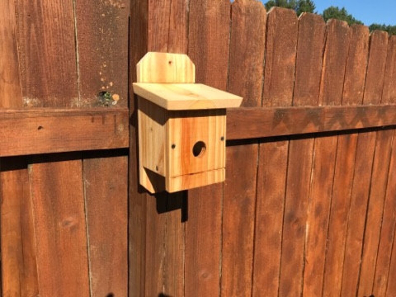 Chickadee Winter Roosting Box. - Etsy