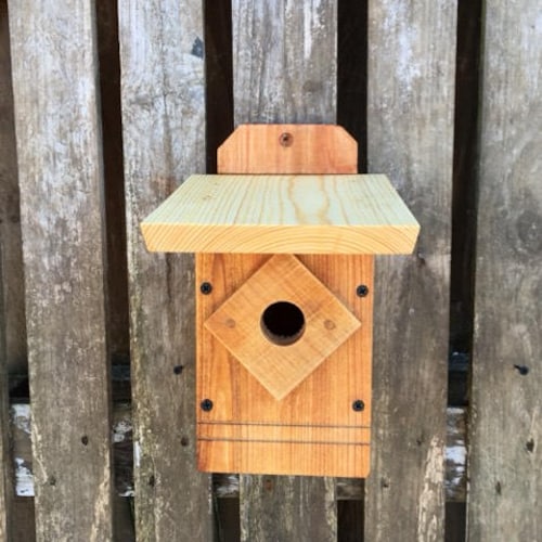 Chickadee & Nuthatch Nest Box Bird House | Etsy
