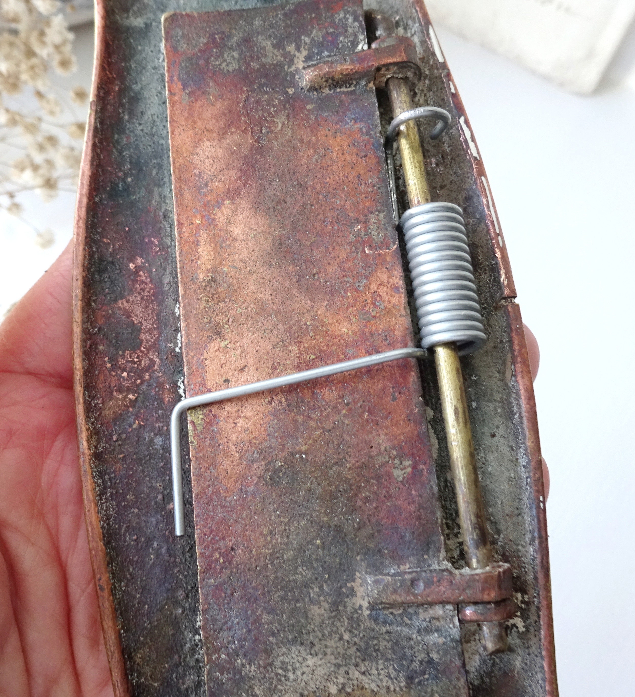 Antique Vertical Brass Letter Flap With Remains of Copper Plate ...