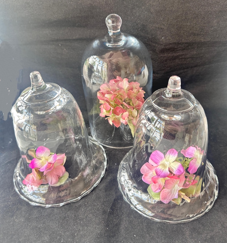 A Small Vintage Glass Display Cloche. the Hand Blown Glass is Prettily ...