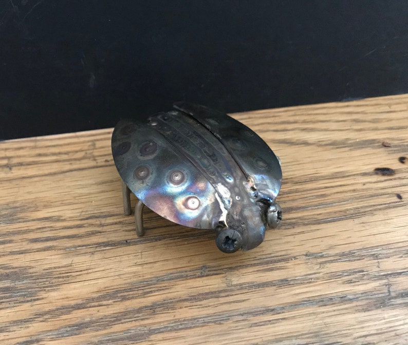 Stainless Steel Cutlery Tig Welded Spoon Bug - Etsy