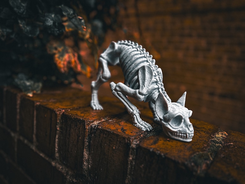 Spooky Skeleton Cat Decor - Etsy