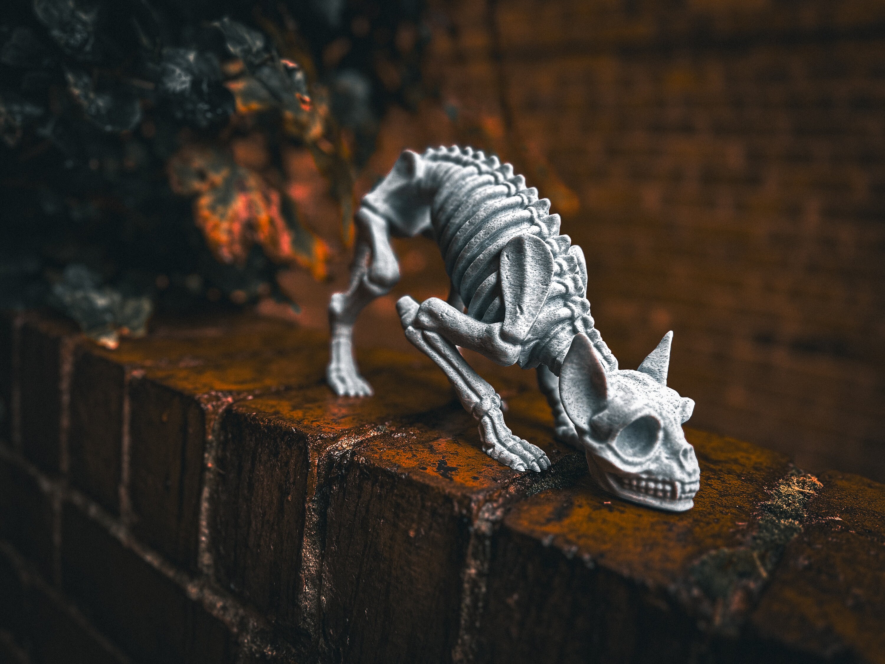 Spooky Skeleton Cat Decor - Etsy