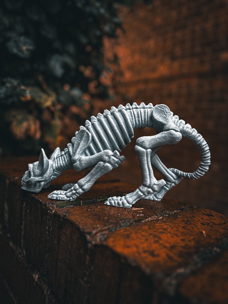 Spooky Skeleton Cat Decor - Etsy