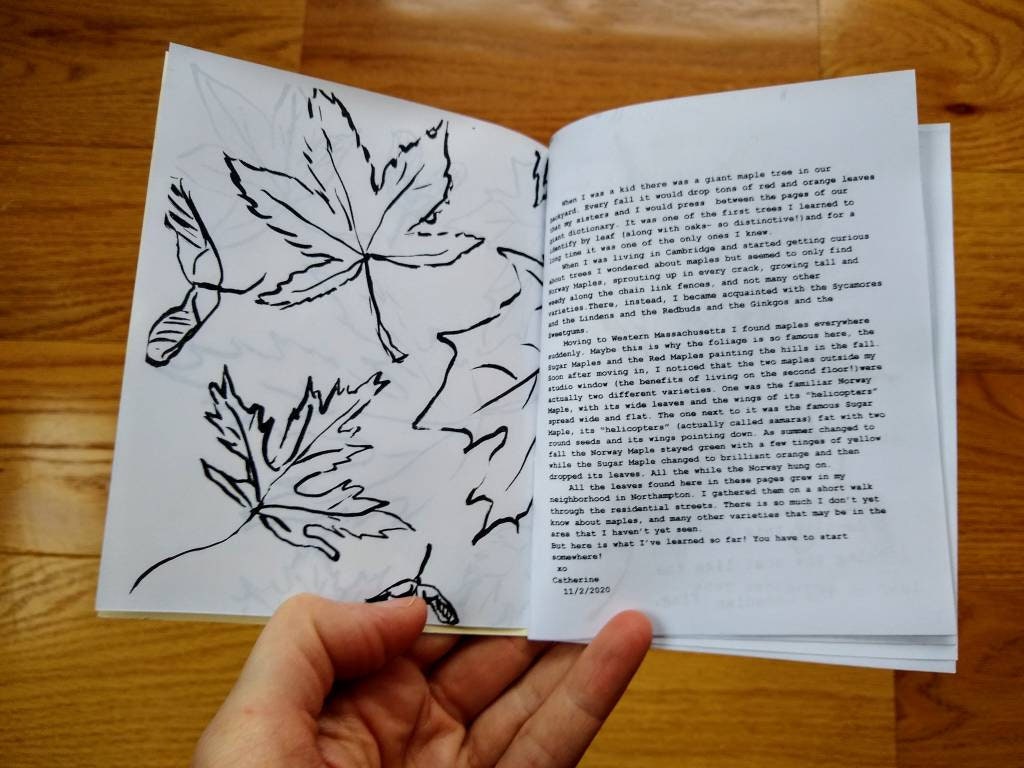 Maple Guide Zine - Etsy