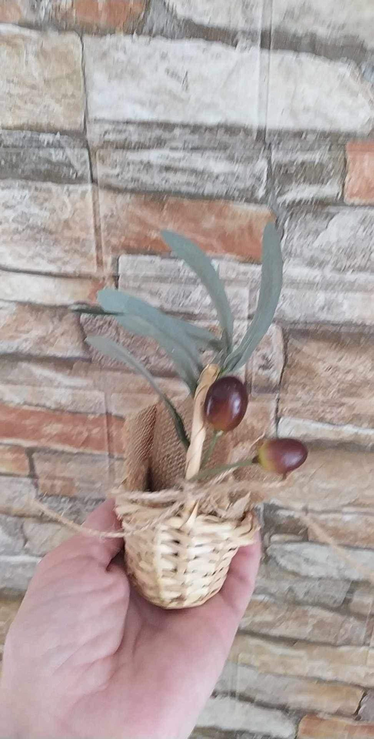 Olive Branch Mini Basket Favors Rustic Ornament Souvenirs Baptism ...