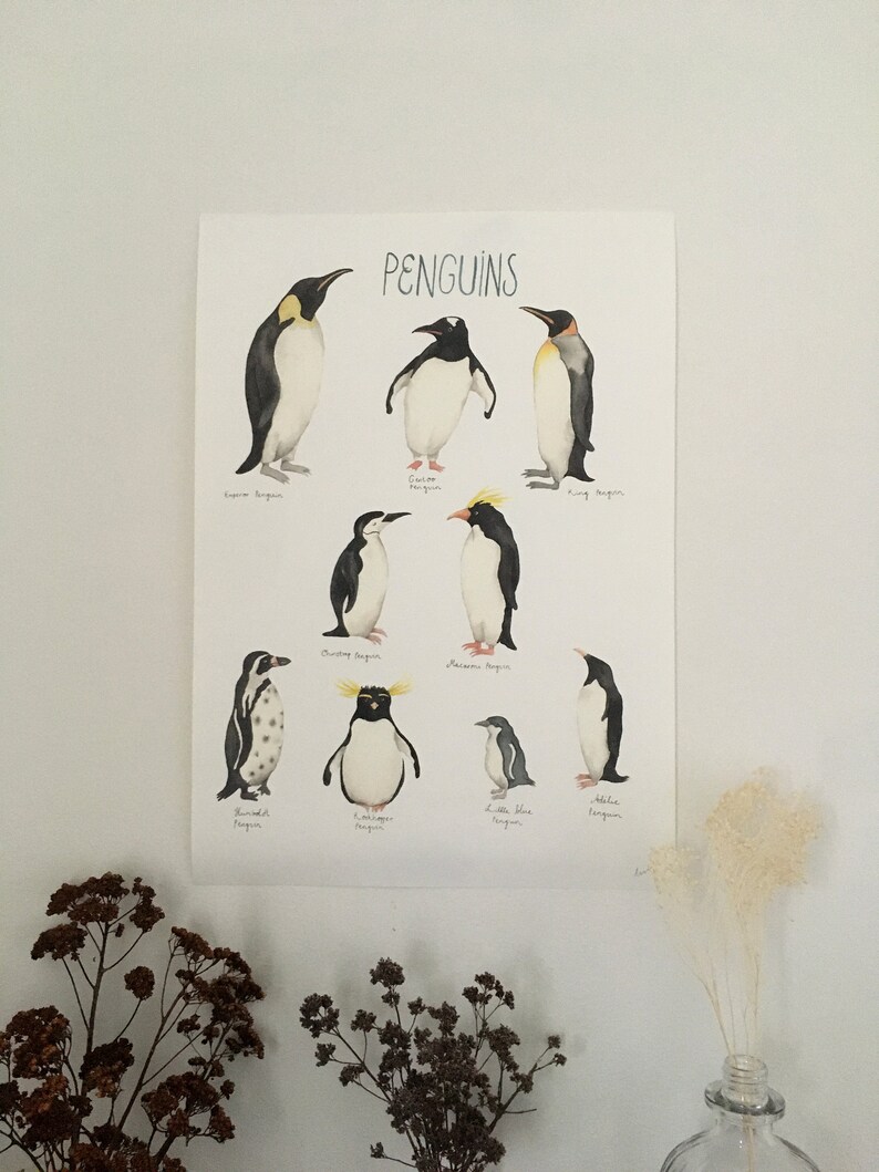 Penguins, Pingviner, Animals, Arctic Animals, Poster, Childrens Room ...