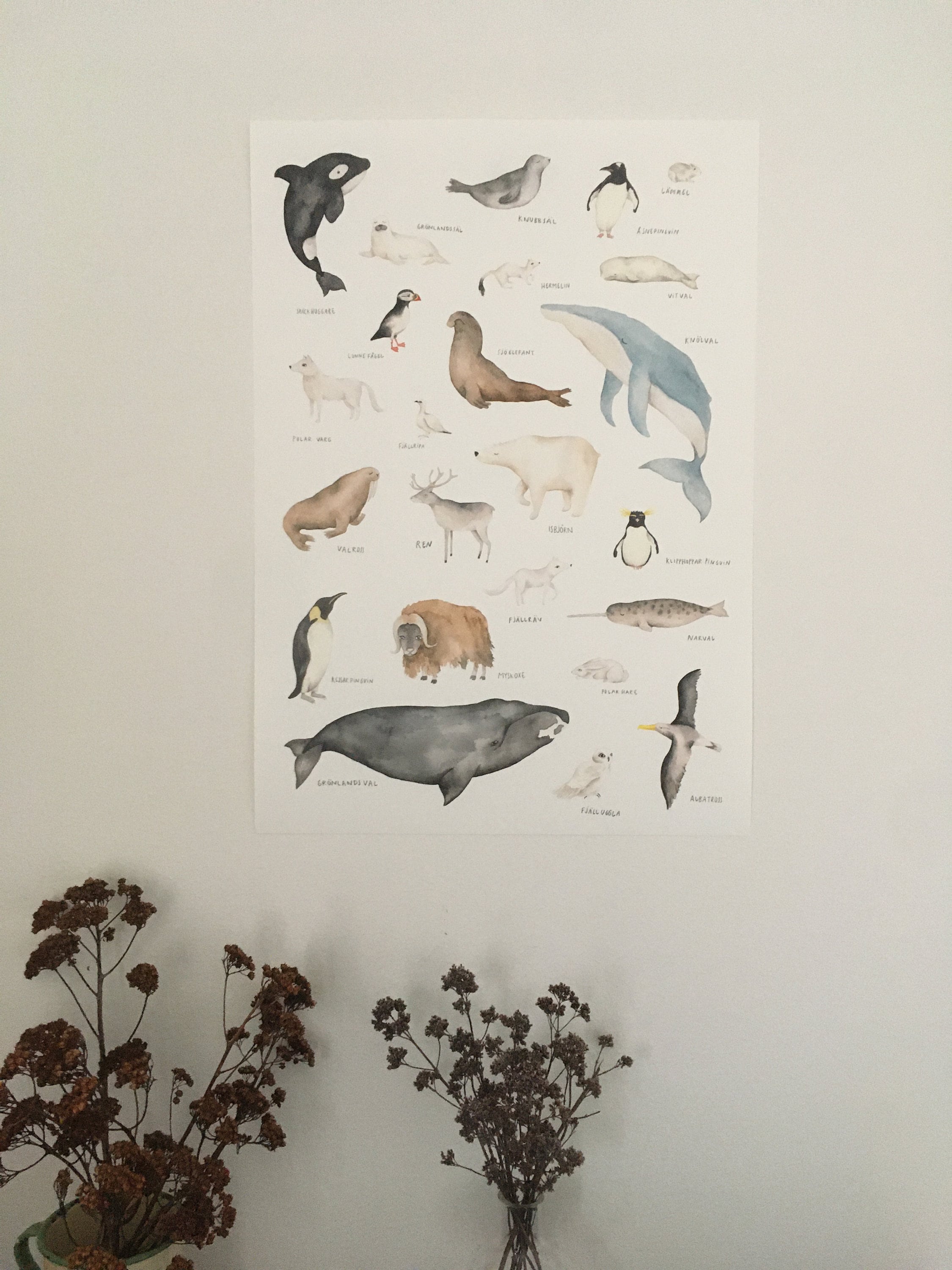 Polar Animals, Arctic, Antarcitca, Poster, Kids Room, Childrens Room ...
