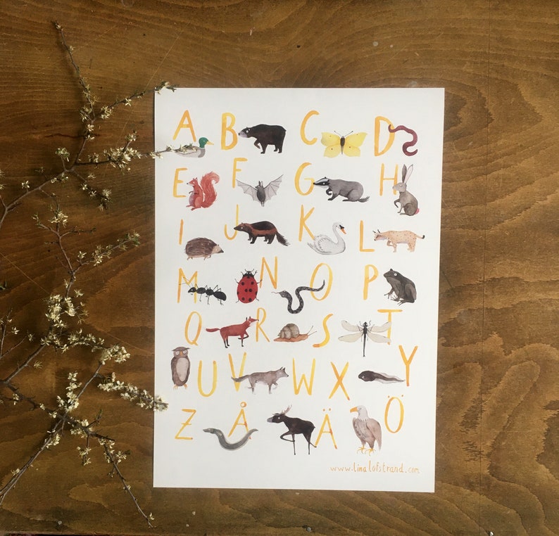 Djur Alfabet Till Barnrummet, Animal Alphabet Swedish, Svenskt, Nordic ...