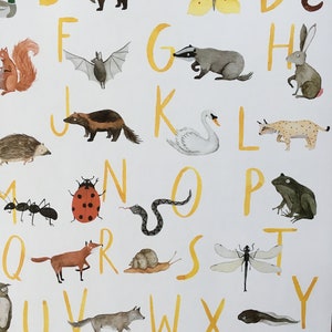 Djur Alfabet Till Barnrummet, Animal Alphabet Swedish, Svenskt, Nordic ...