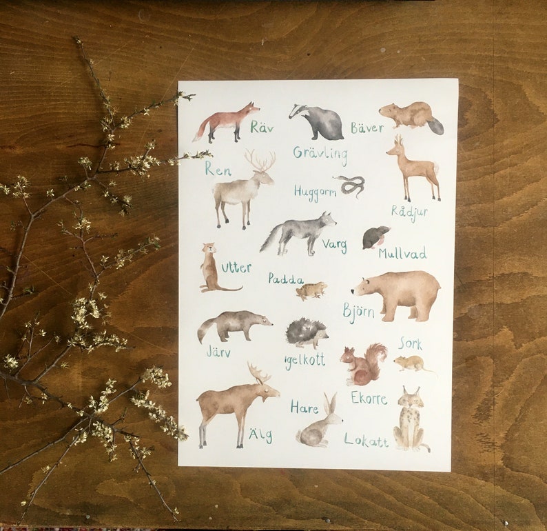 Nordic Scandinavian Woodland Animals, Wild Animals, Forest ...