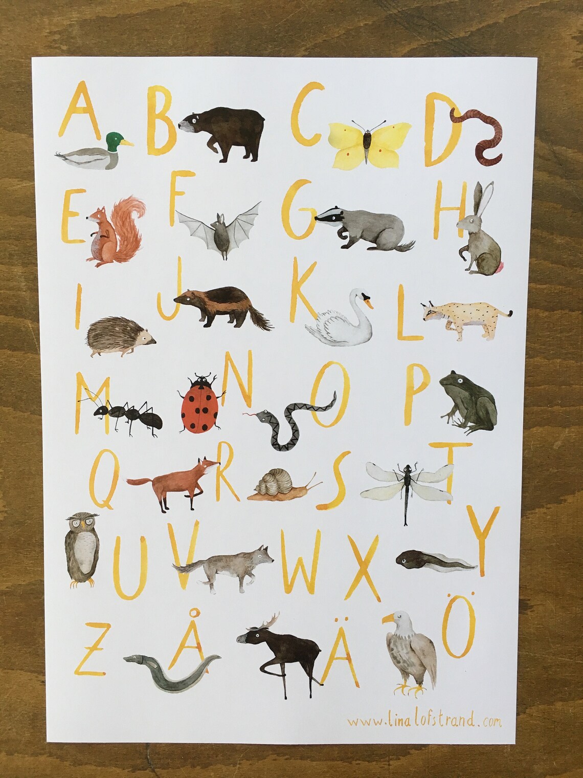 Djur Alfabet Till Barnrummet, Animal Alphabet Swedish, Svenskt, Nordic ...