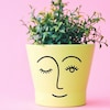 Womens Face Flower Pot Vinyl Decal, Minimalist Line Art, Boho Stickers ...