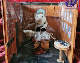 Shadow Box Diorama - Etsy UK