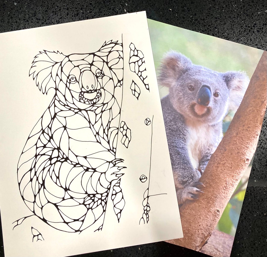 Coloring Page Koala Australian Animals - Etsy