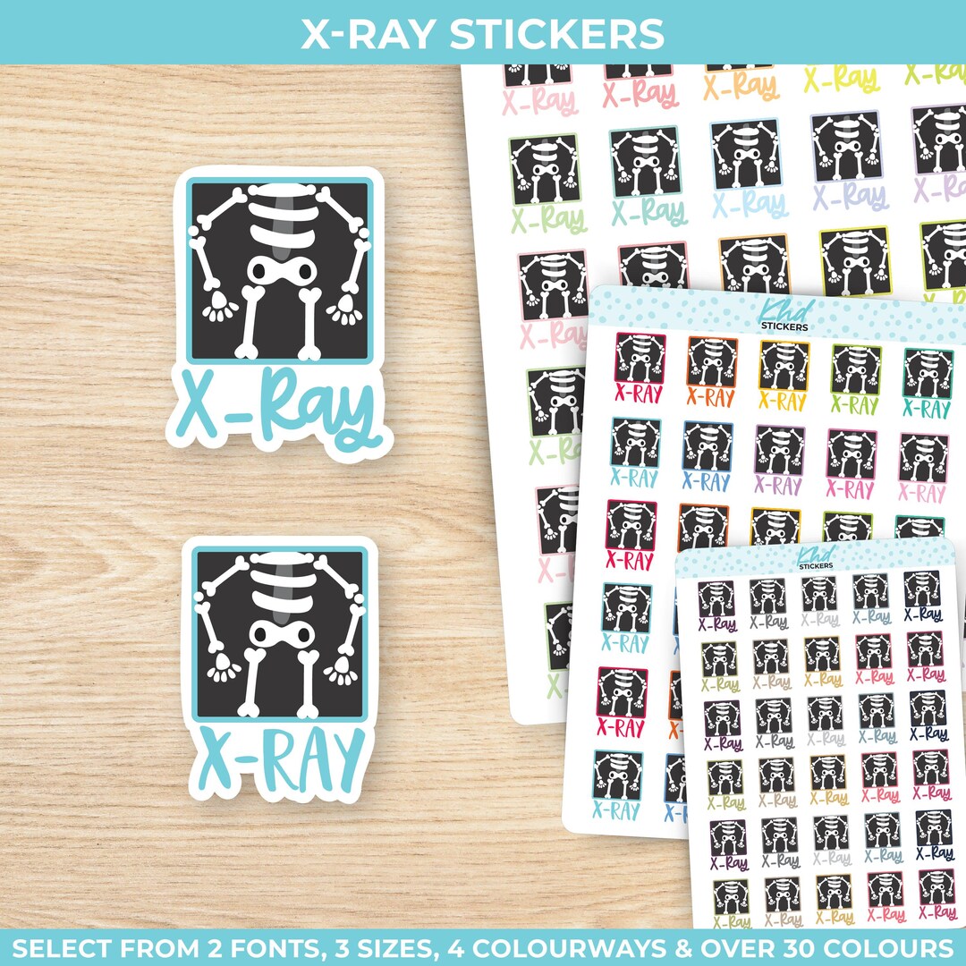 X-ray Planner Stickers, Three Sizes Including Tiny, Removable - Etsy