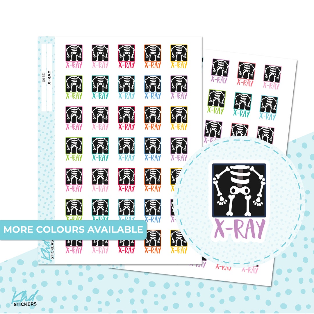 X-ray Stickers Planner Stickers Removable - Etsy