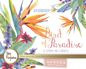 Bird of Paradise - Etsy