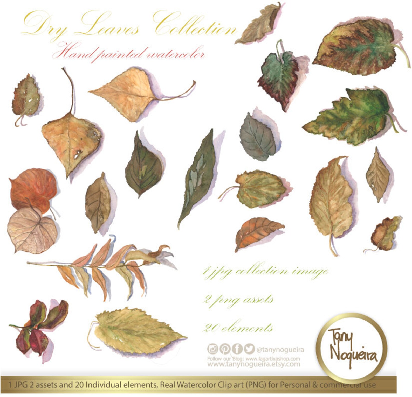 Dry Leaves Collection Clip Art Images Watercolor Hand Painted PNG ...