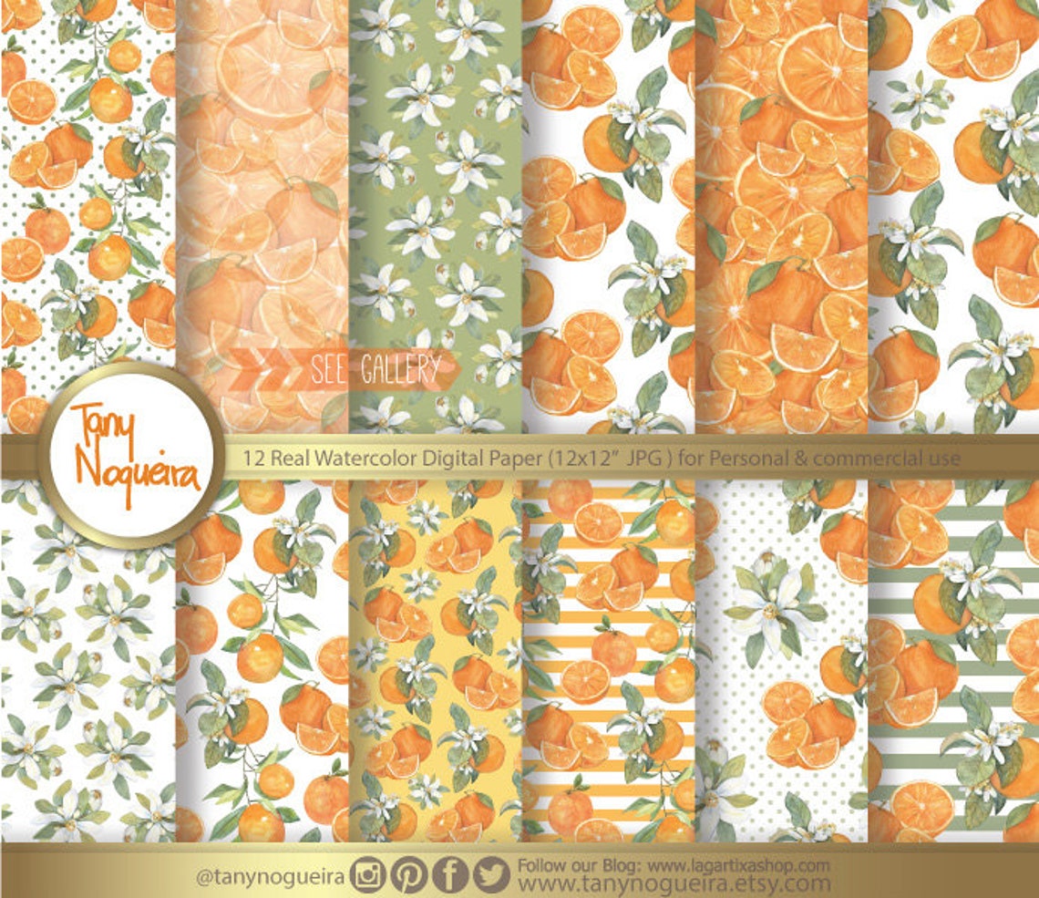 Orange Branches Flowers Blossom Digital Paper Watercolor Hand - Etsy