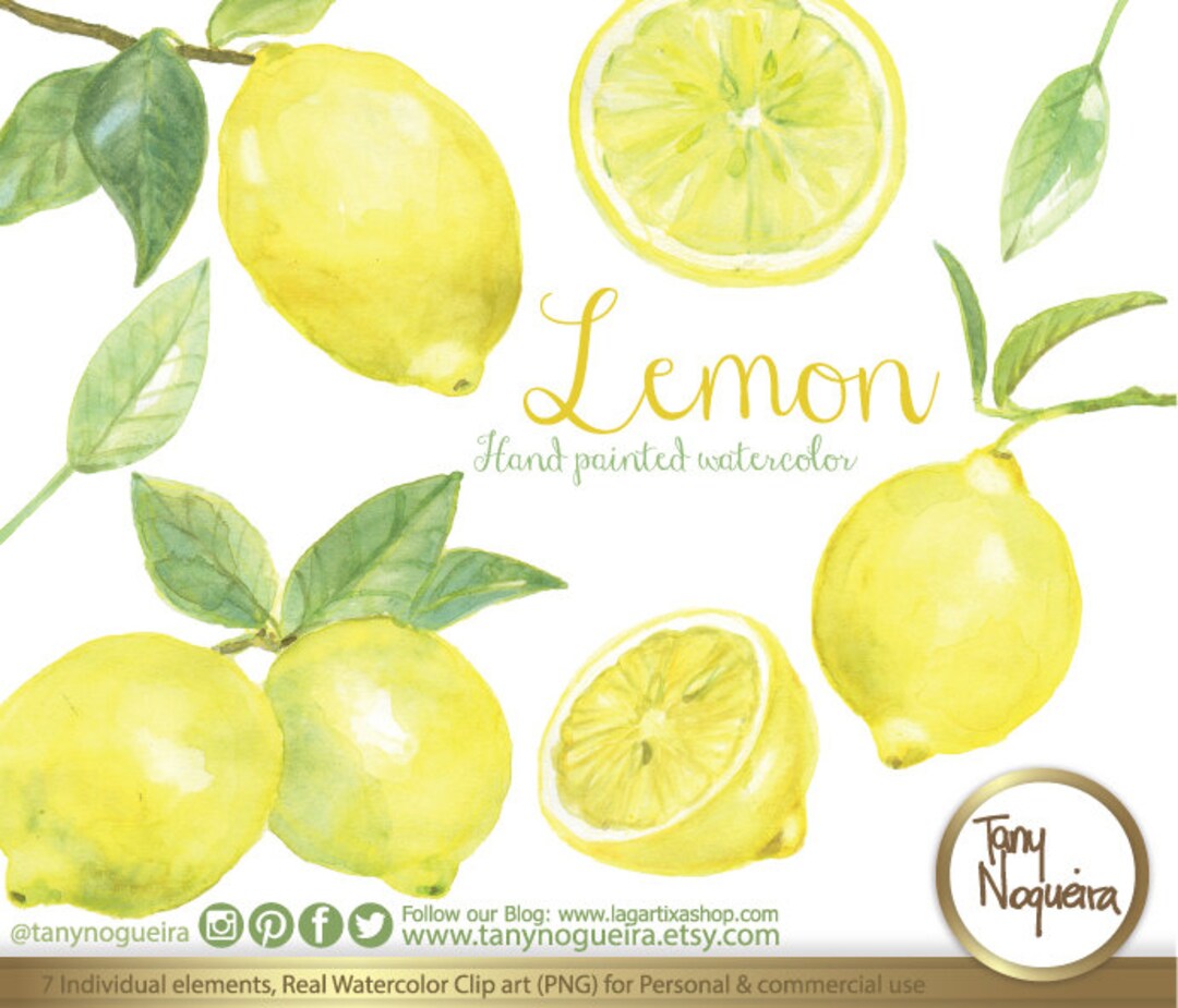 Lemons, Lemon, Watercolor, Hand Painted, Clipart, Clip Art, Png, Blog ...