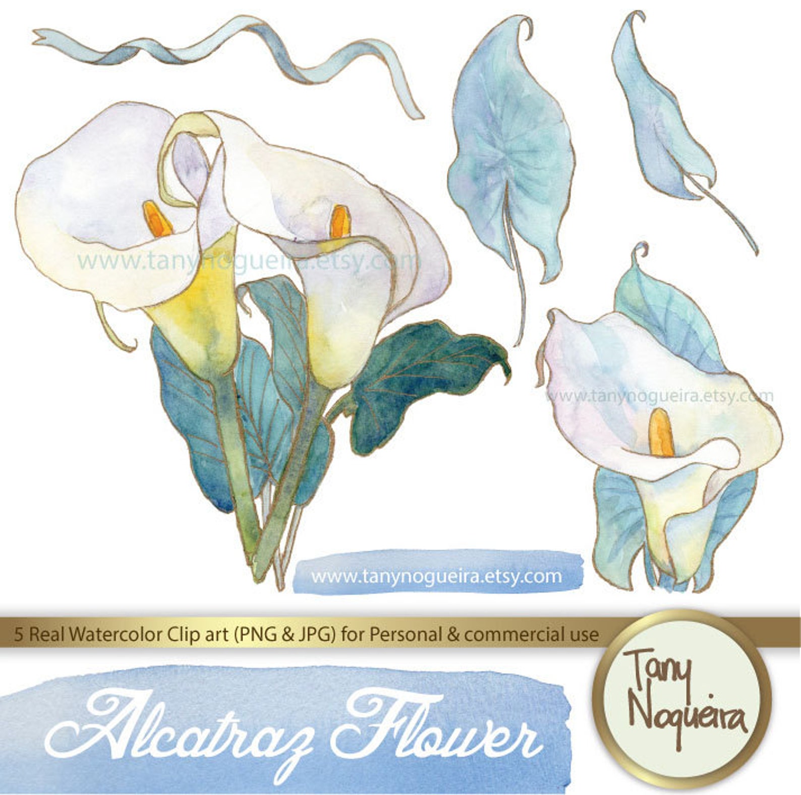 Clip art Flores Alcatraces Alcatraz Flor Blanca Calla Lily PNG fondo ...