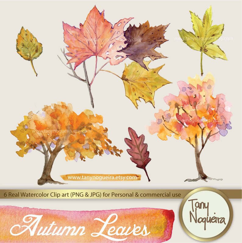 Autumn Tree Leaves Leaf Clip Art Images Watercolor Hand Painted PNG ...